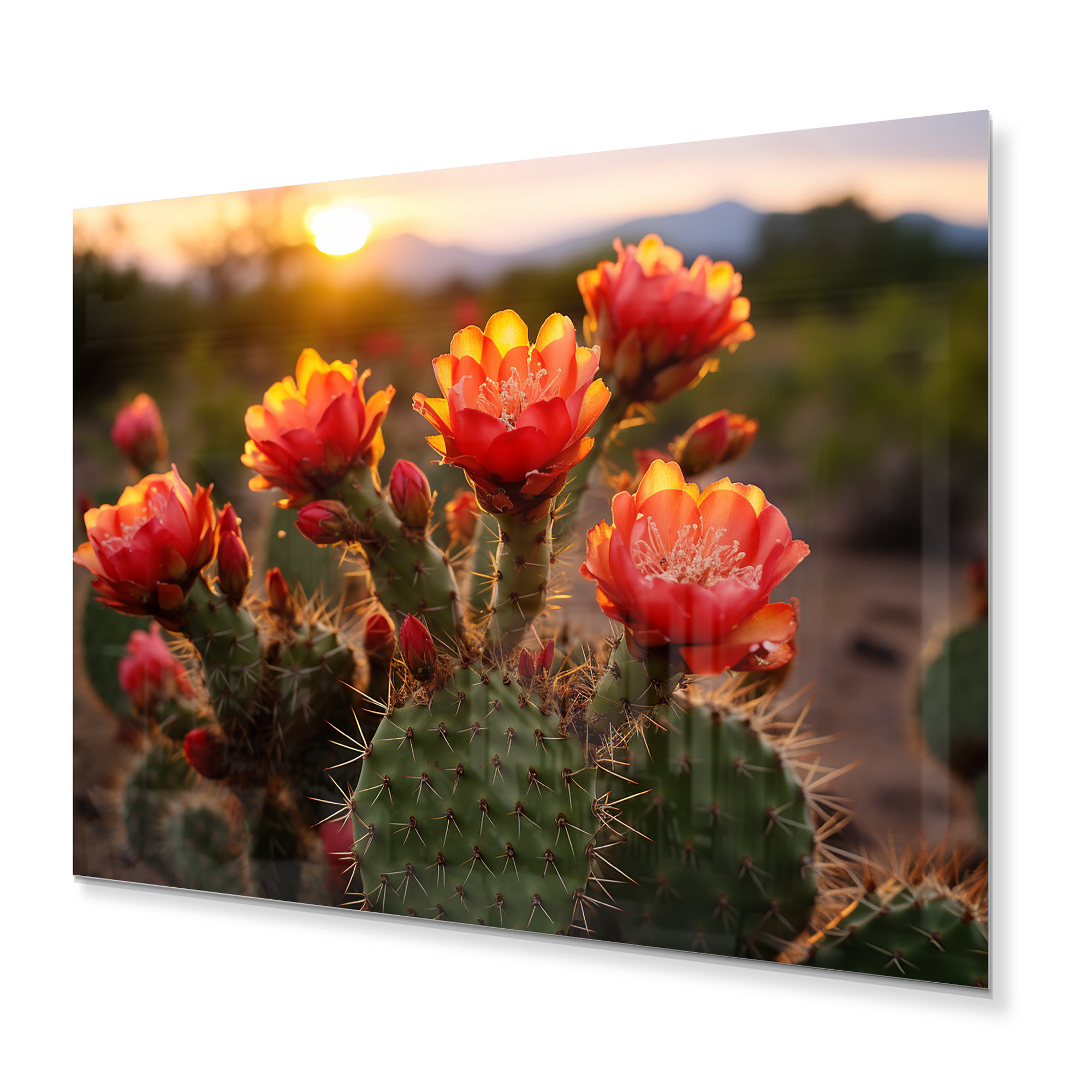 Dakota Fields Red Green Cactus Field With Sunset I - Floral Metal Wall Art | Wayfair